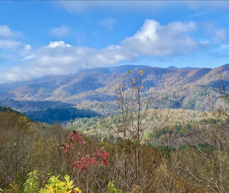 Cherokee National Forest - Copperhill, TN, Official Website